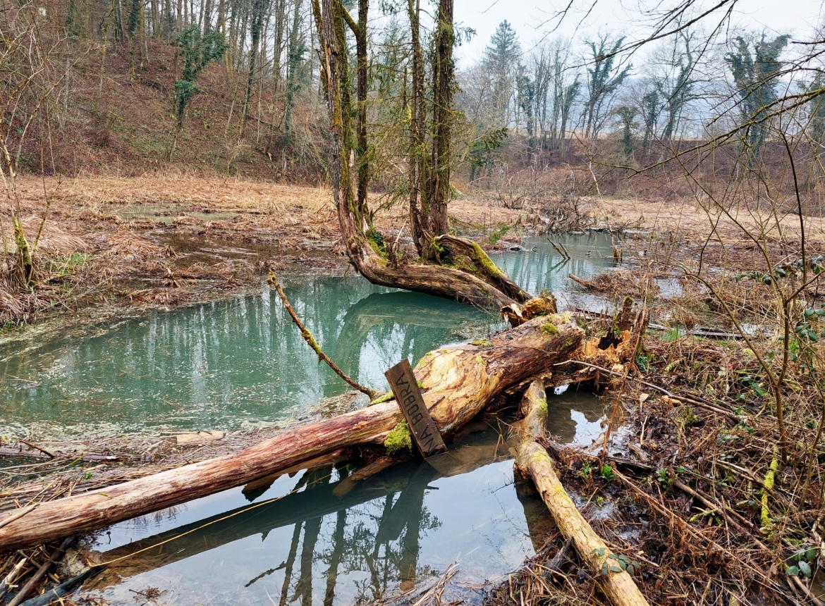 The natural area around Štrlek Castle – an example of good land ...